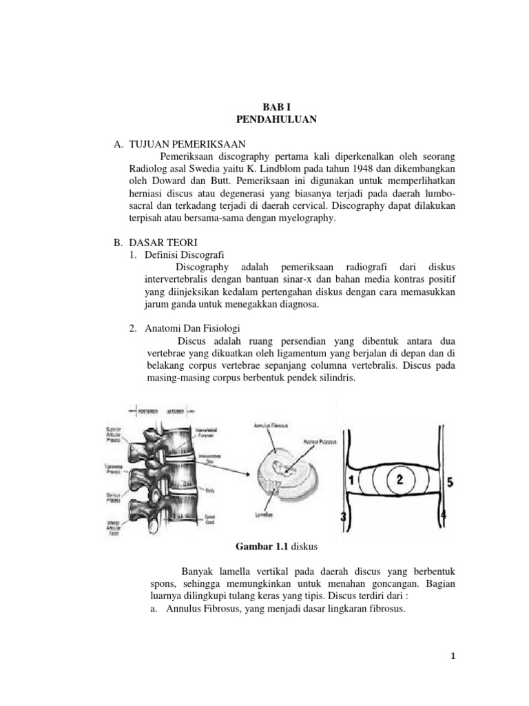 DISCOGRAFI Discography | PDF | Ilmu Sosial | Kesehatan Holistik