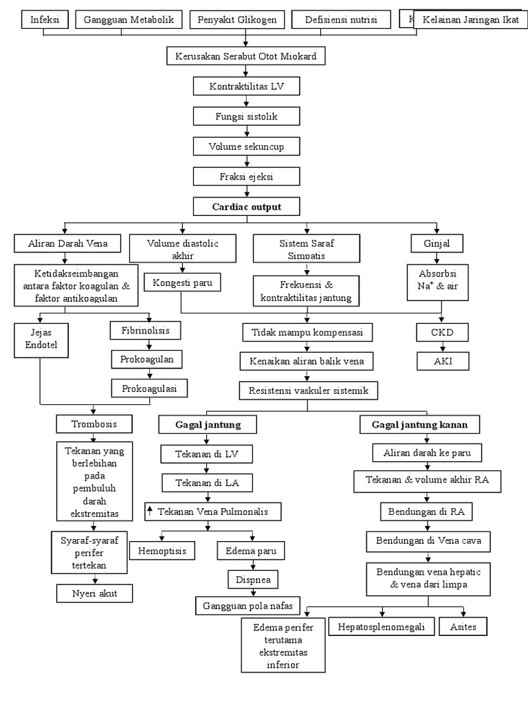 Pathway Icm+dcfc+dvt | PDF