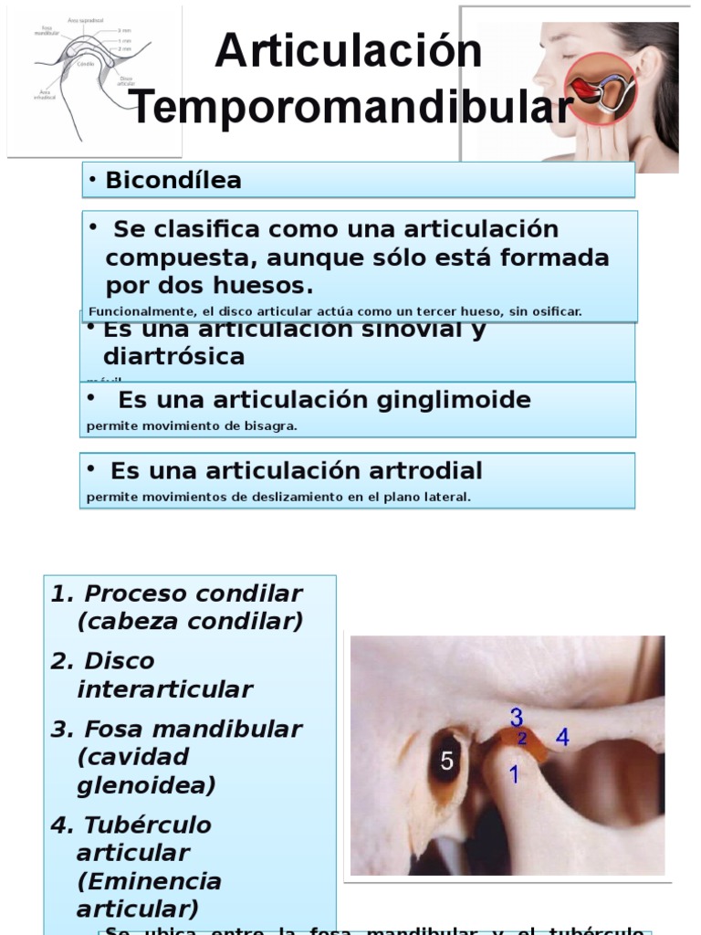 Generalidades Del ATM | PDF | Articulación | Cabeza y cuello humanos