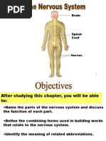 01 - Human Brain - Labeling Diagrams - Parts & Functions - Fill in The ...
