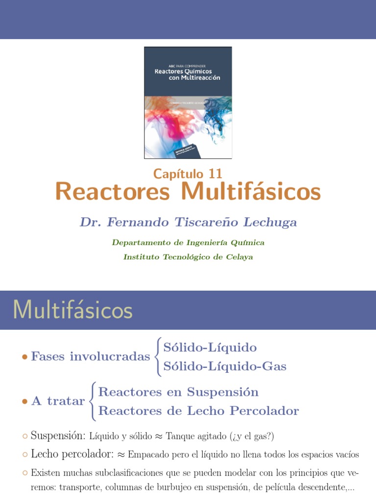 Ejemplos Reactores Multifasicos | PDF | Ciencias fisicas | Química Física