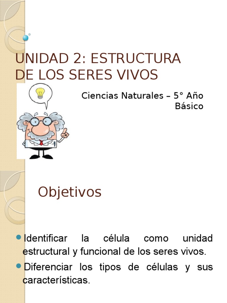 Estructura de Los Seres Vivos 5to. | PDF | Biología Celular) | Organismos