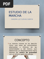 Marcha Trendelenburg: Análisis y Alteraciones | PDF | Pelvis | Sistema ...