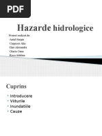 HAZARDE NATURALE, Antropice Si Tehnologice | PDF