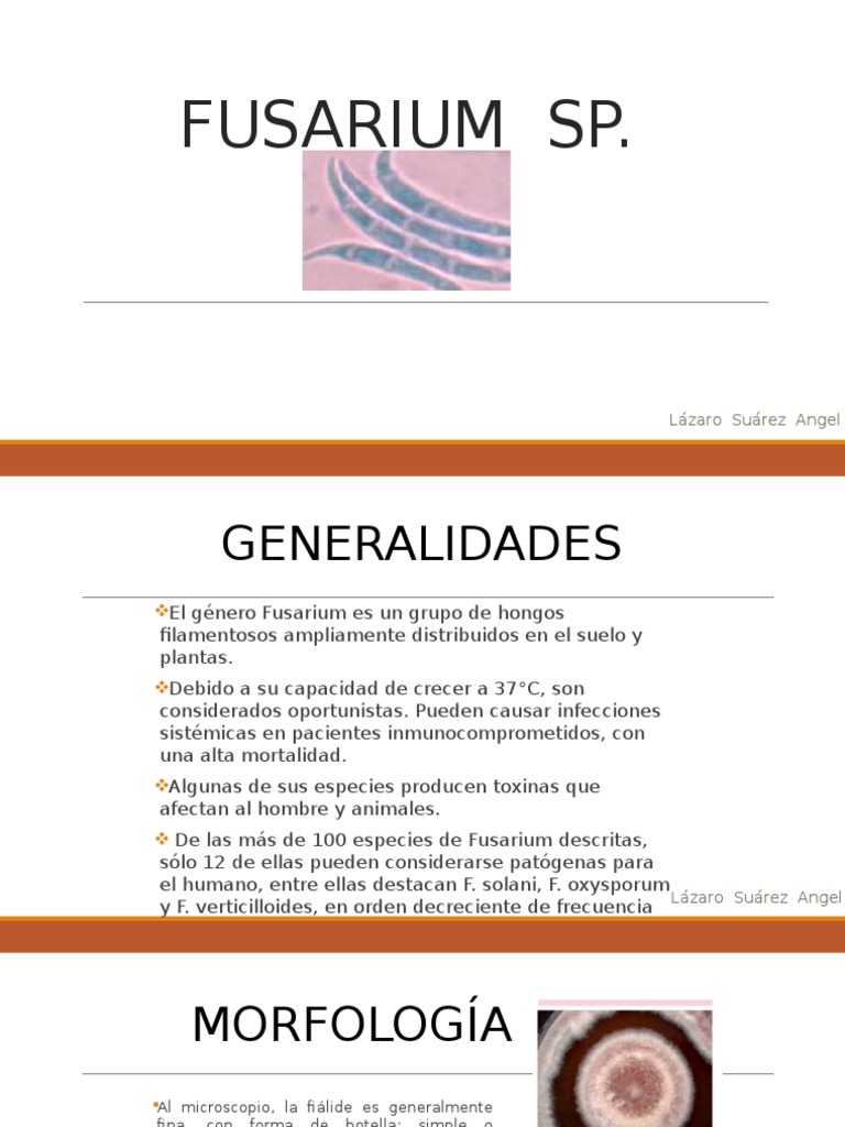 Fusarium SP | PDF | Sistema inmune | Infección