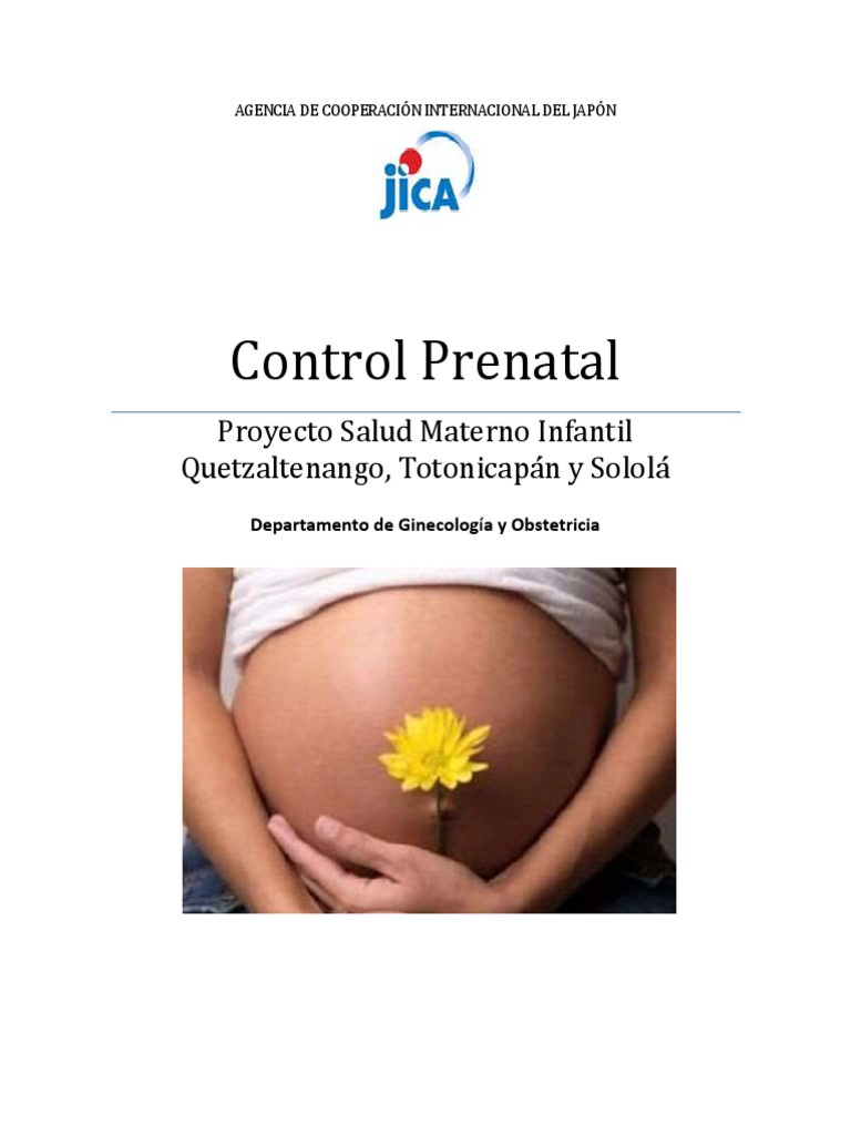 Control Prenatal | PDF | El embarazo | Parto