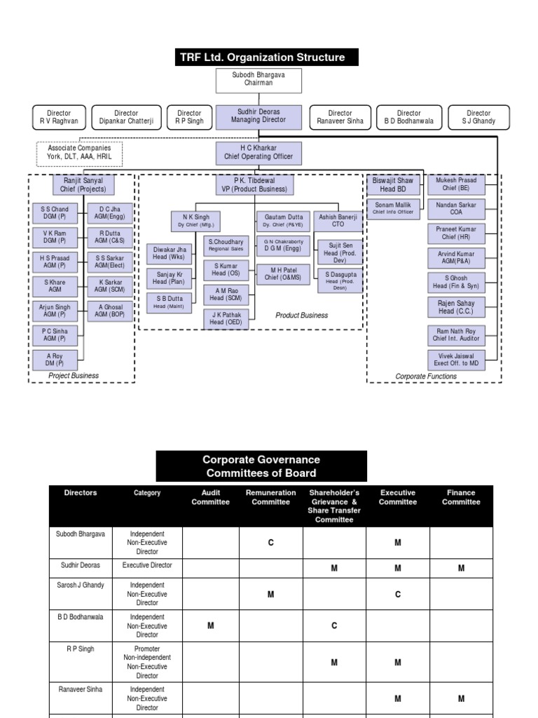 TRF Ltd. Organization Structure: Product Business | PDF