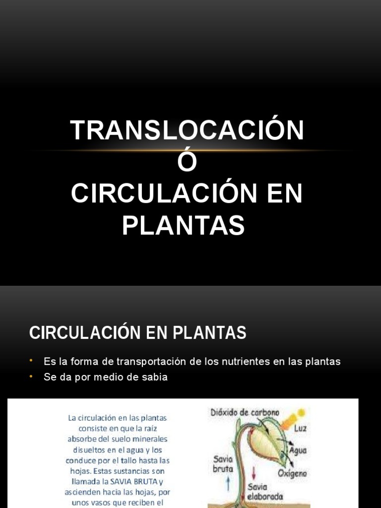 TRANSLOCACIÓN