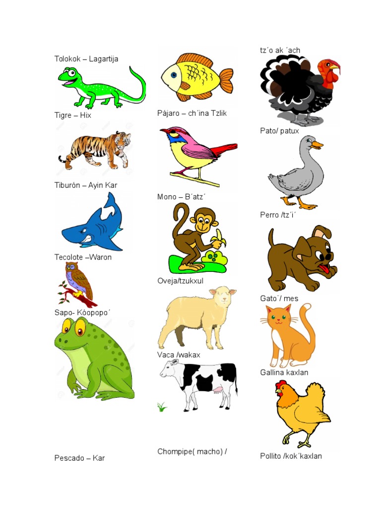 Animales en q Eqchi