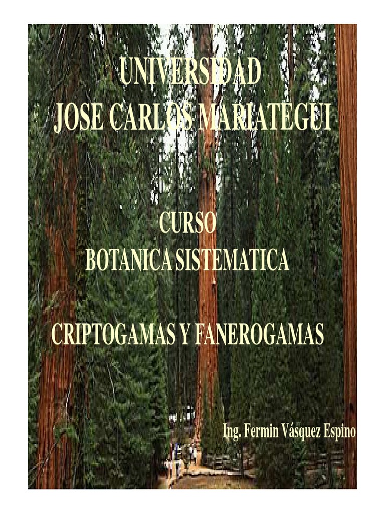 Curso Botanica Sistematica | PDF | Algas | Plantas