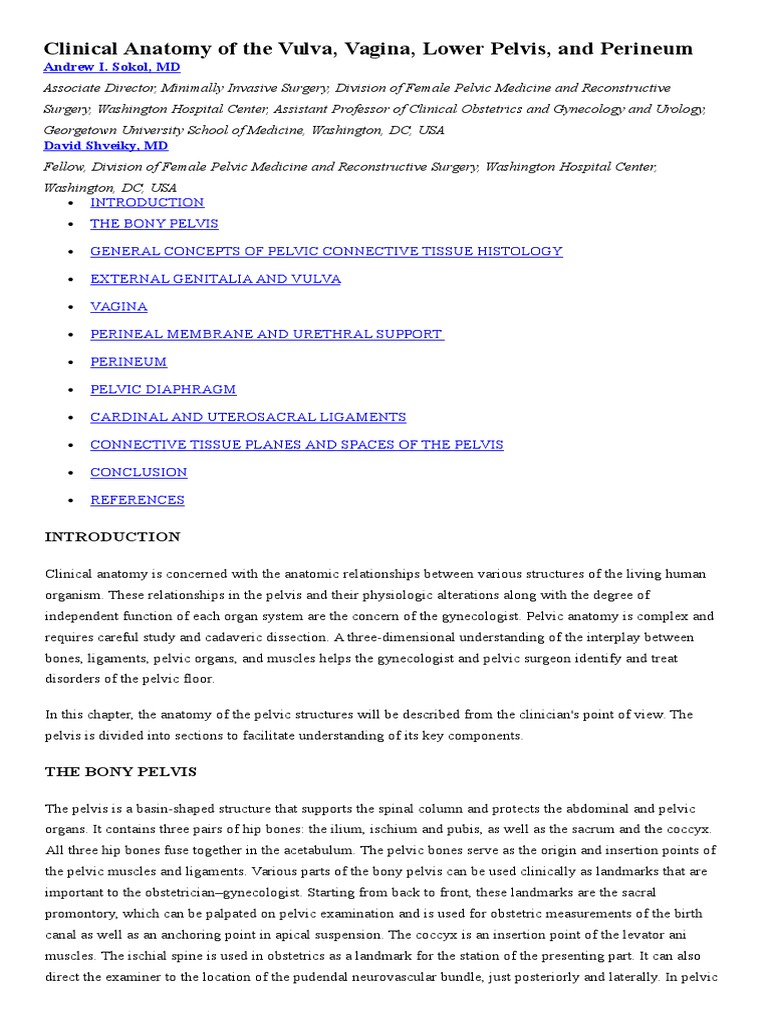 Anatomy of the Female Pelvis and Vulva | PDF | Pelvis | Vagina