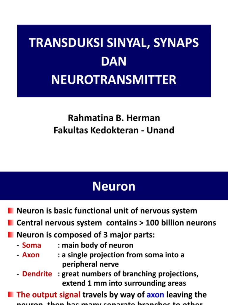 Transduksi Sinyal, Sinaps Dan Neurotransmitter | PDF