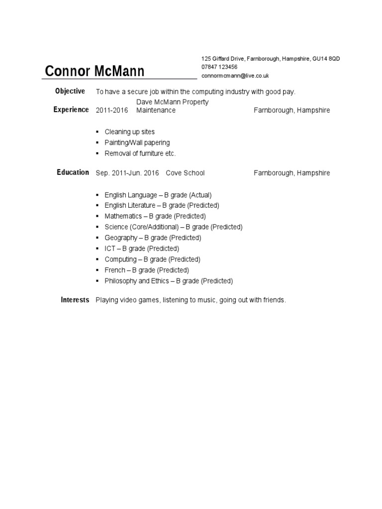 Connor McMann Resume Overview | PDF