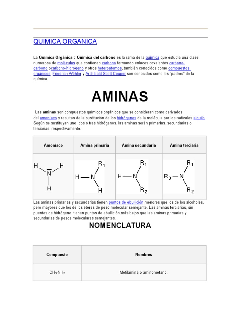 Quimica Organica | PDF | Amida | Amina