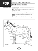 Understanding the Horse's Stay Apparatus | PDF | Skeletal System | Joints