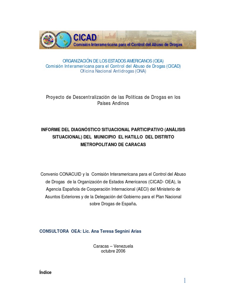Informe Final Municipio El Hatillo | PDF | La dependencia de sustancias | Juventud