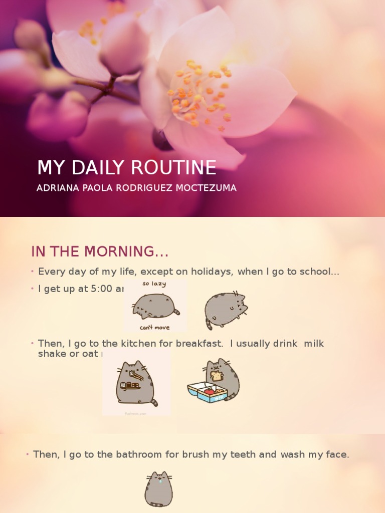 My Daily Routine Overview | PDF | Self-Improvement