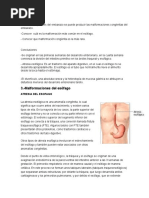 Disfagia, Etiopatologenia, Clasificacion y Clinica | PDF | Esófago ...