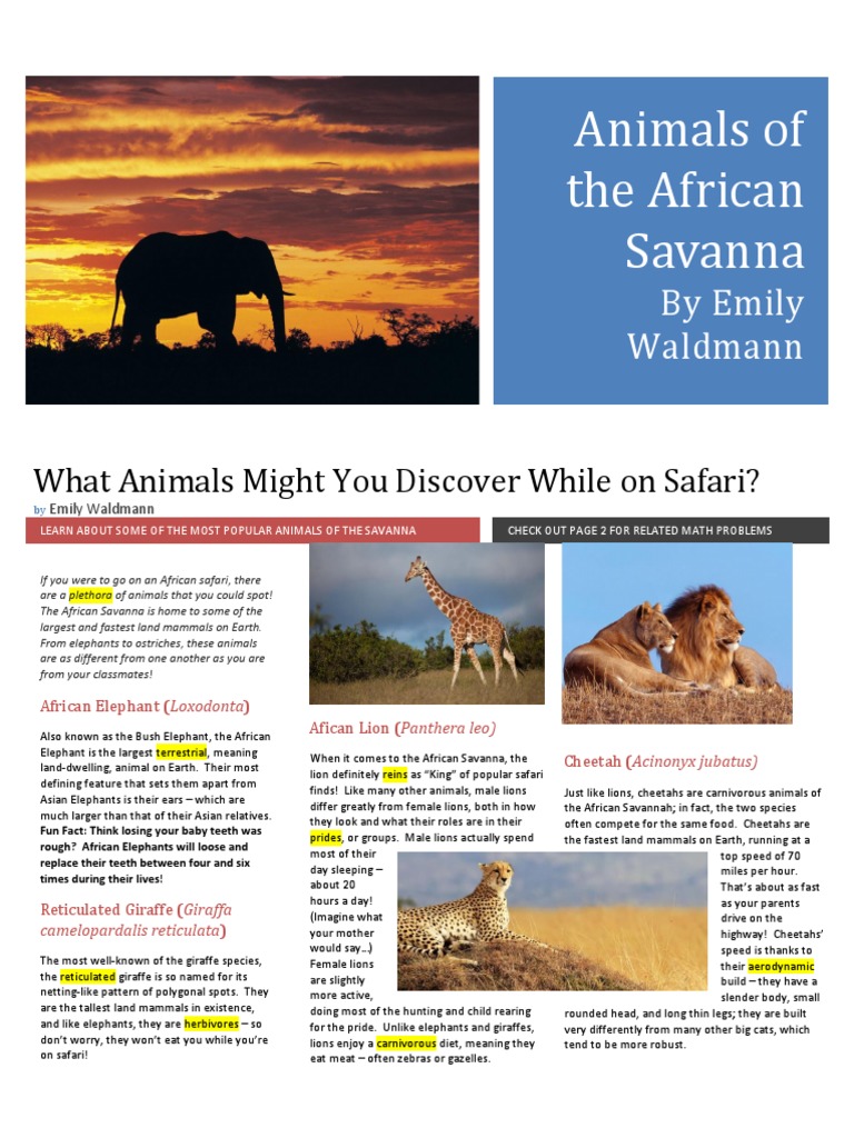 African Savanna Animal Facts | PDF | Giraffe | Lion