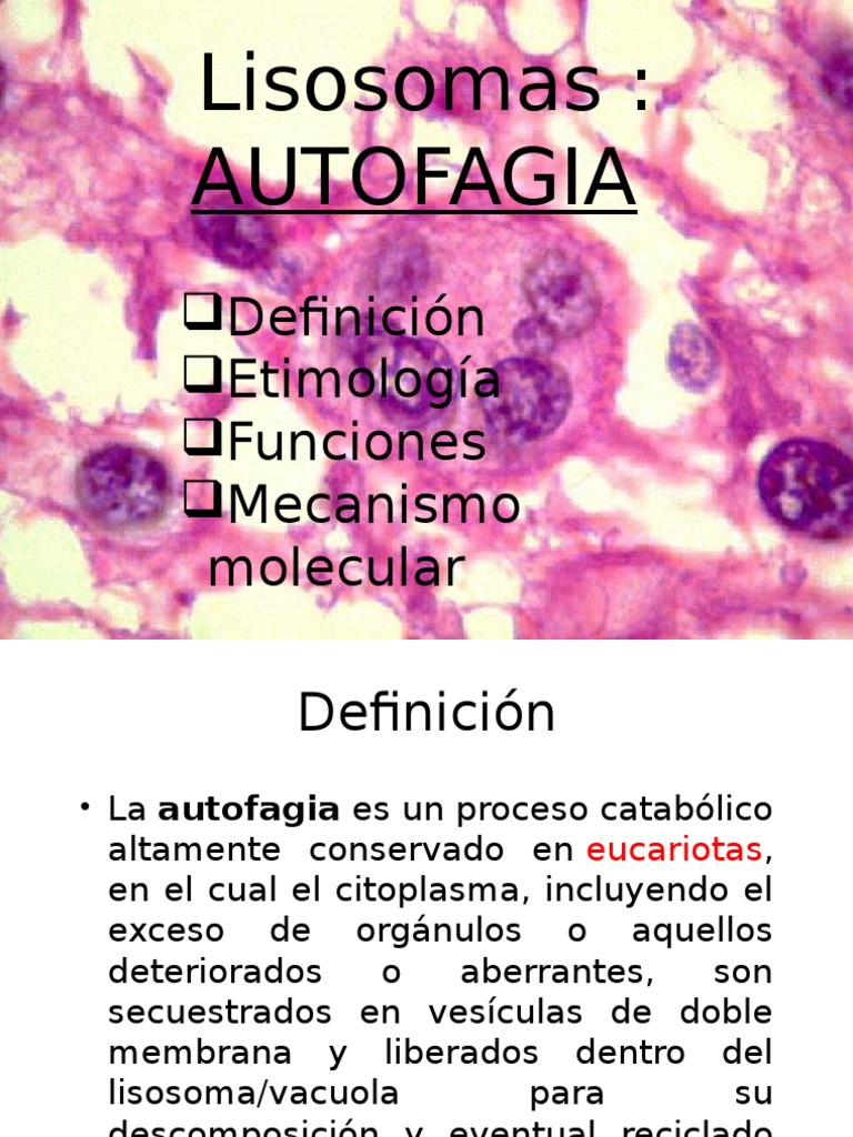 Autofagia | Autofagia | Procesos biológicos