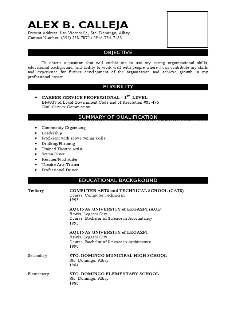 Sample of Professional Resume | PDF