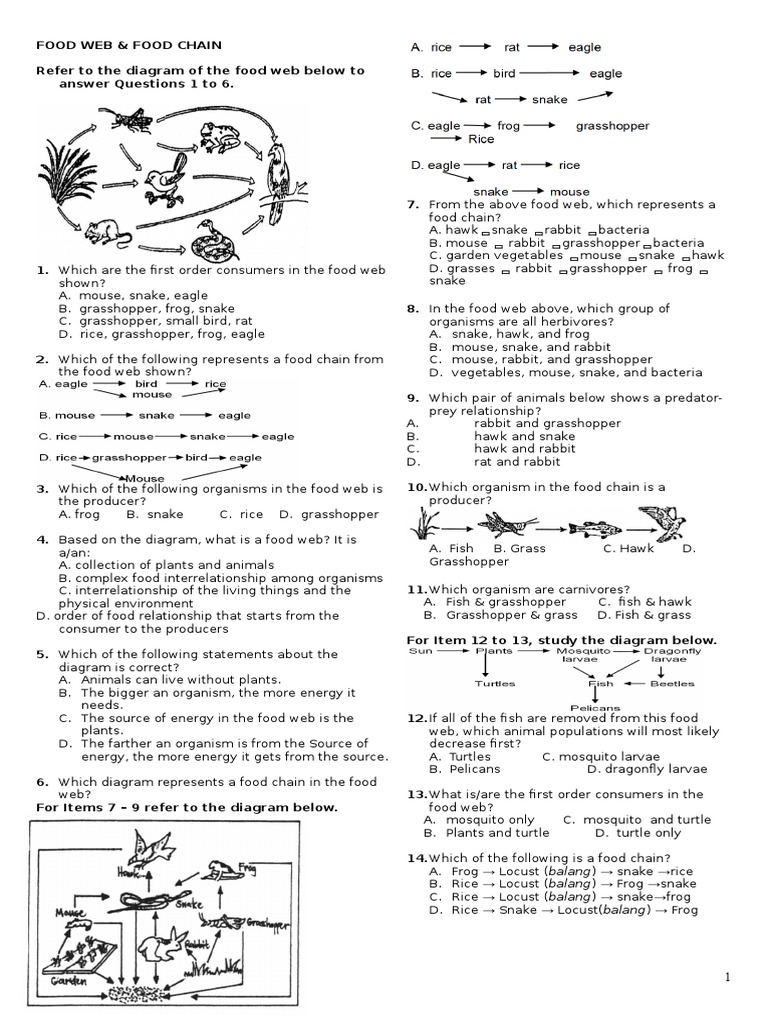 Food Web & Food Chain2 | PDF | Food Web | Frog
