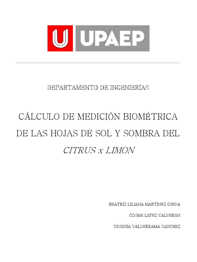 Cálculo de Medición Biométrica de Las Hojas de Sol y Sombra Del Citrus ...