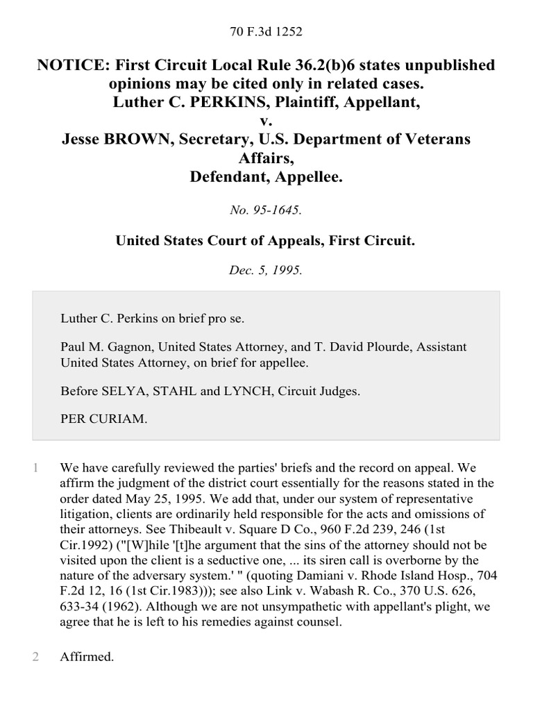 Perkins v. Brown, 70 F.3d 1252, 1st Cir. (1995) | PDF | Law