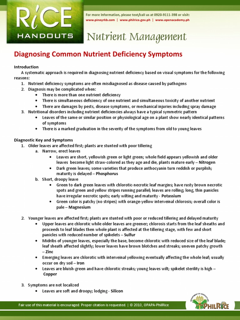Diagnostic Common Nutrient Deficiency Symptoms | PDF | Leaf | Nutrients