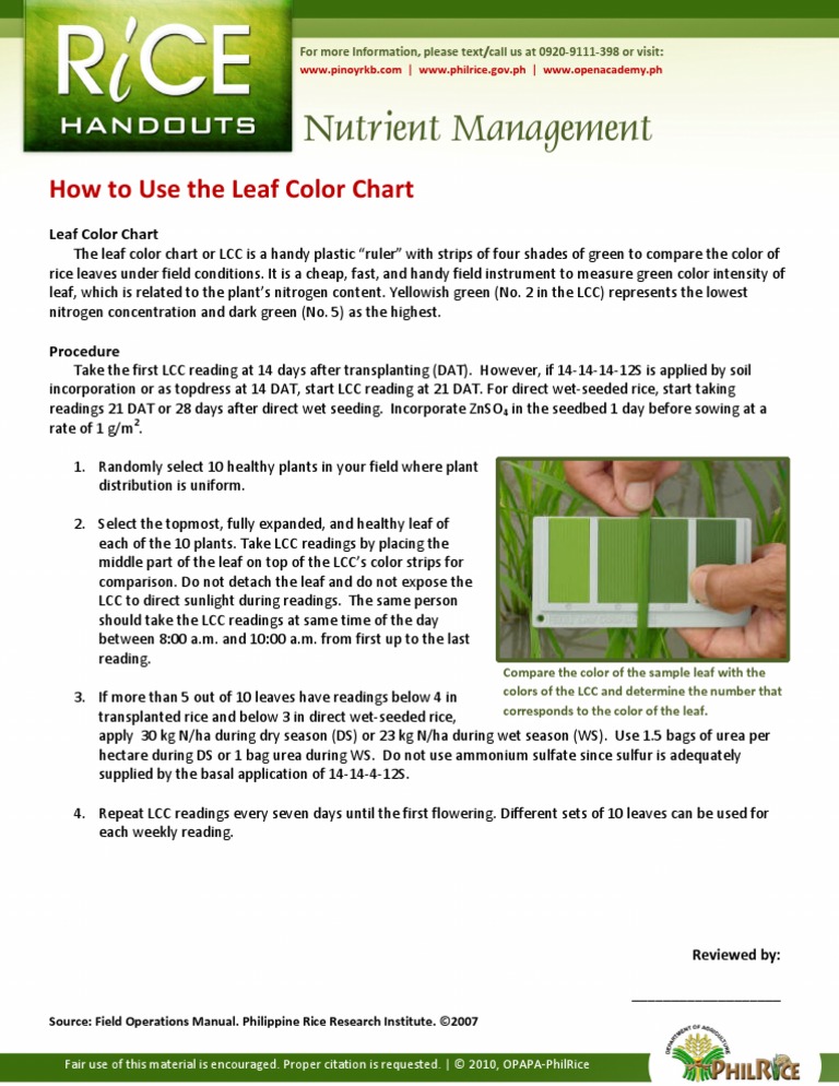 How To Use The Leaf Color Chart | PDF | Leaf | Rice