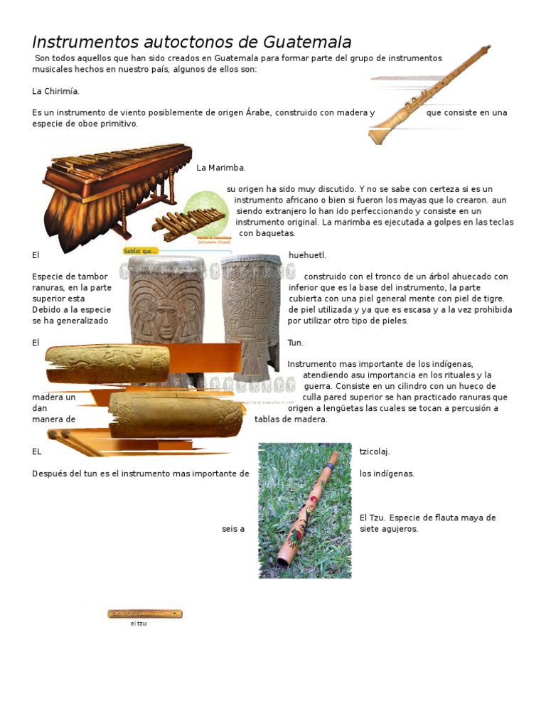 6 instrumentos autoctonos