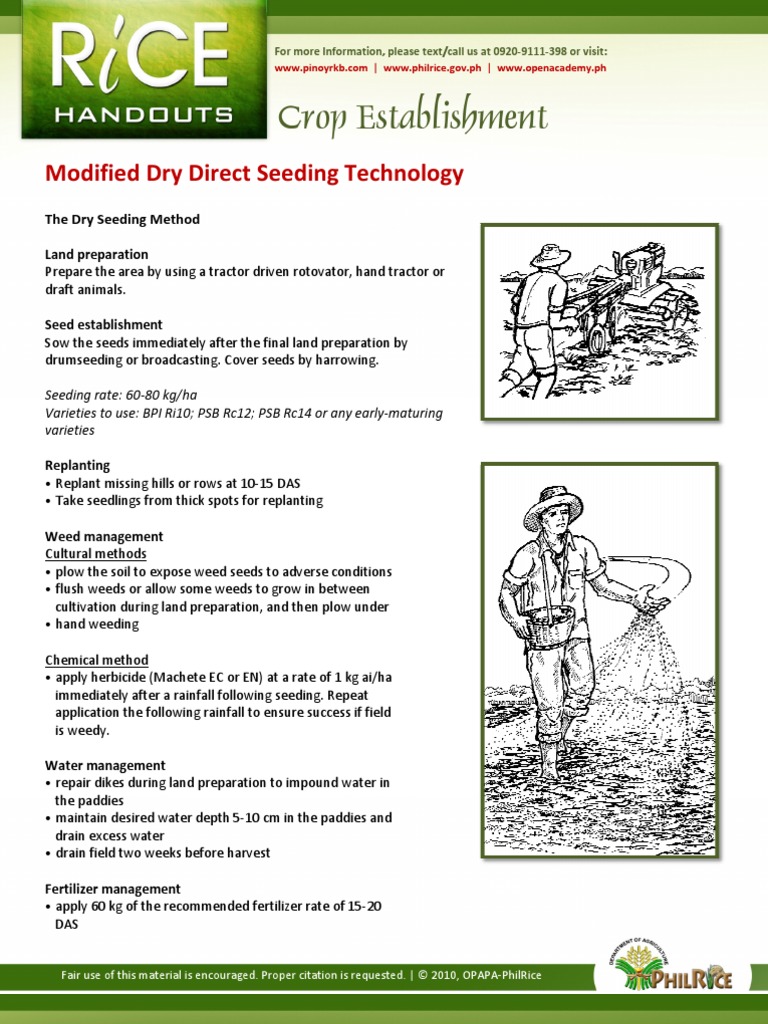 Modified Dry Direct Seeding Technology | PDF | Weed | Rice