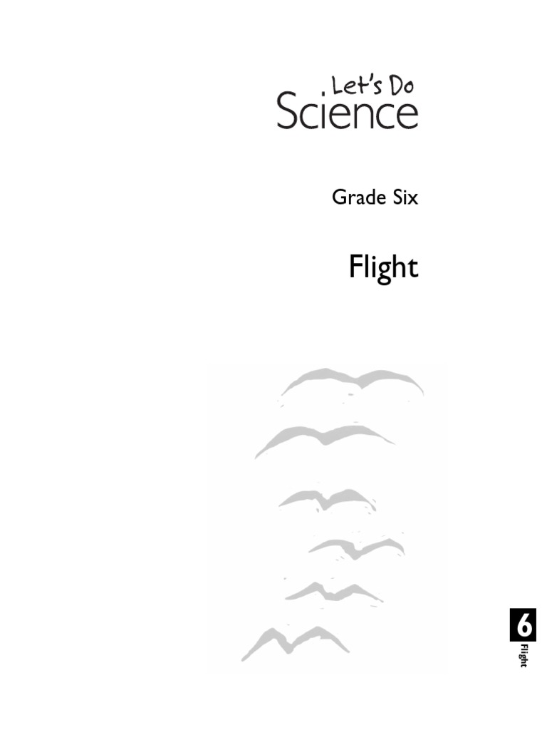 Grade 6 Flight | PDF | Spacecraft Propulsion | Jet Engine