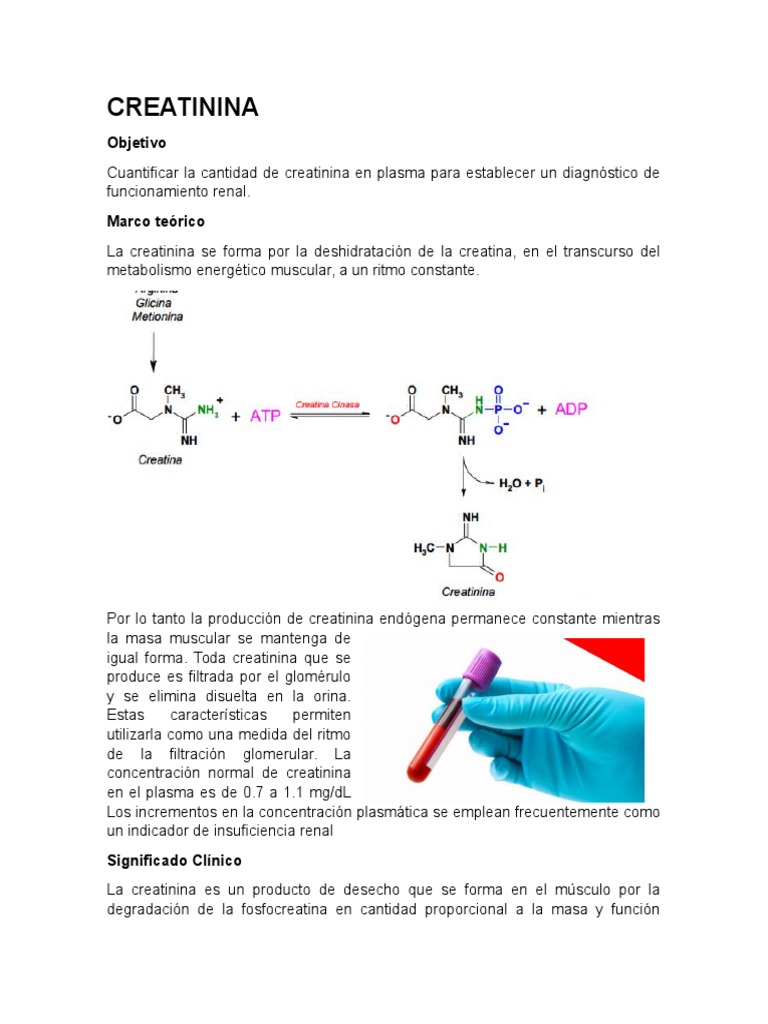 Cuantificación de Creatinina en sangre | Creatinina | Riñón