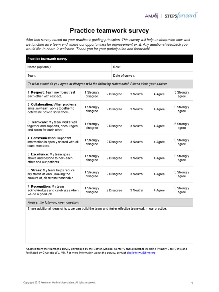 Teamwork Survey | PDF