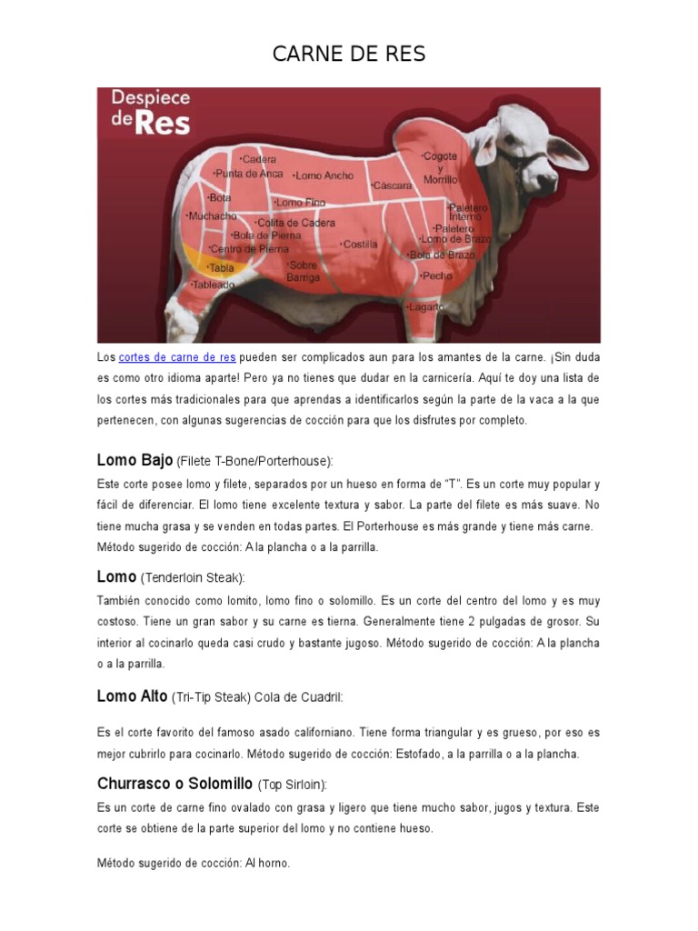 Cortes de Carne de Res y su Ubicación | PDF | Carne | Cocina occidental