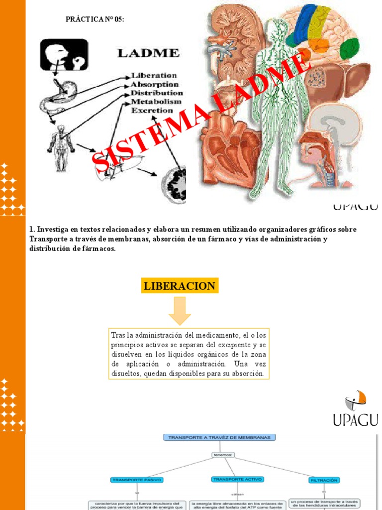 Sistema LADME | Farmacocinética | Medicamentos con receta