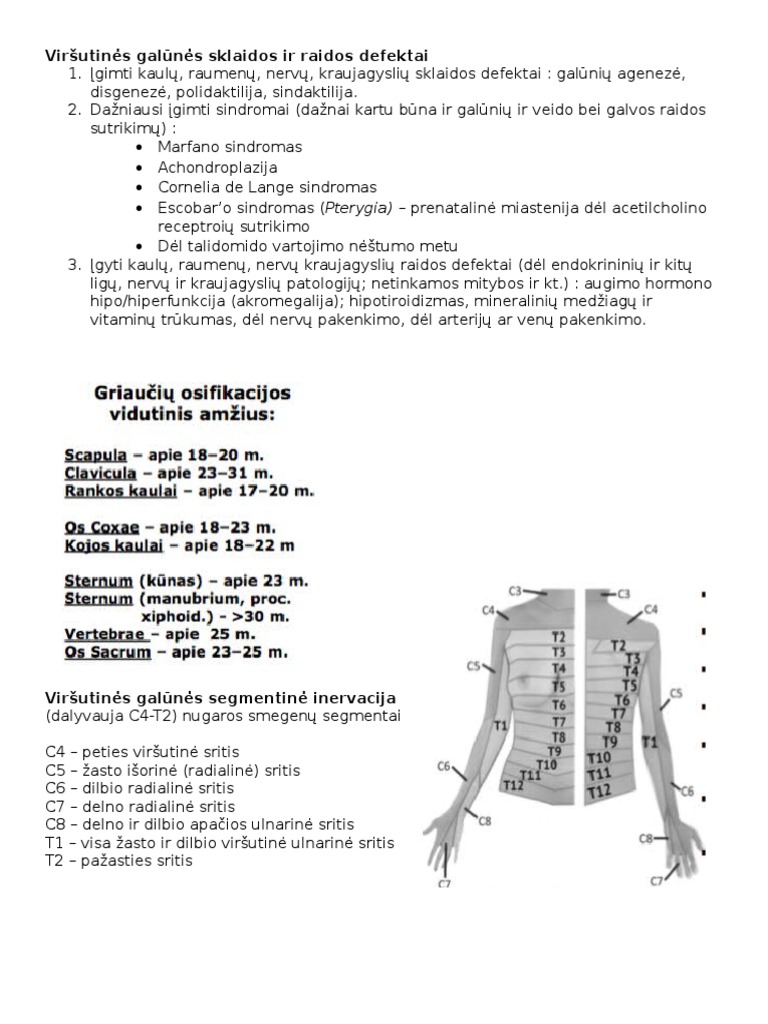 Rankos Anatomija | PDF