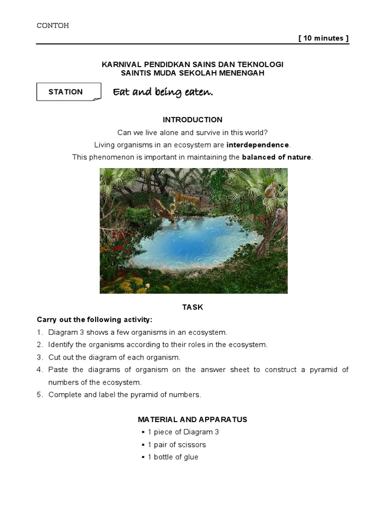 Set 2 Eat and Being Eaten | PDF | Science & Mathematics