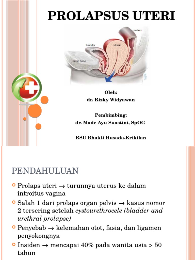 Prolaps Uteri pada Wanita Lansia | PDF