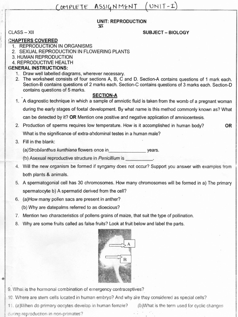 Class 12 Biology Unit 1 Assignment | PDF | Reproduction | Biological ...