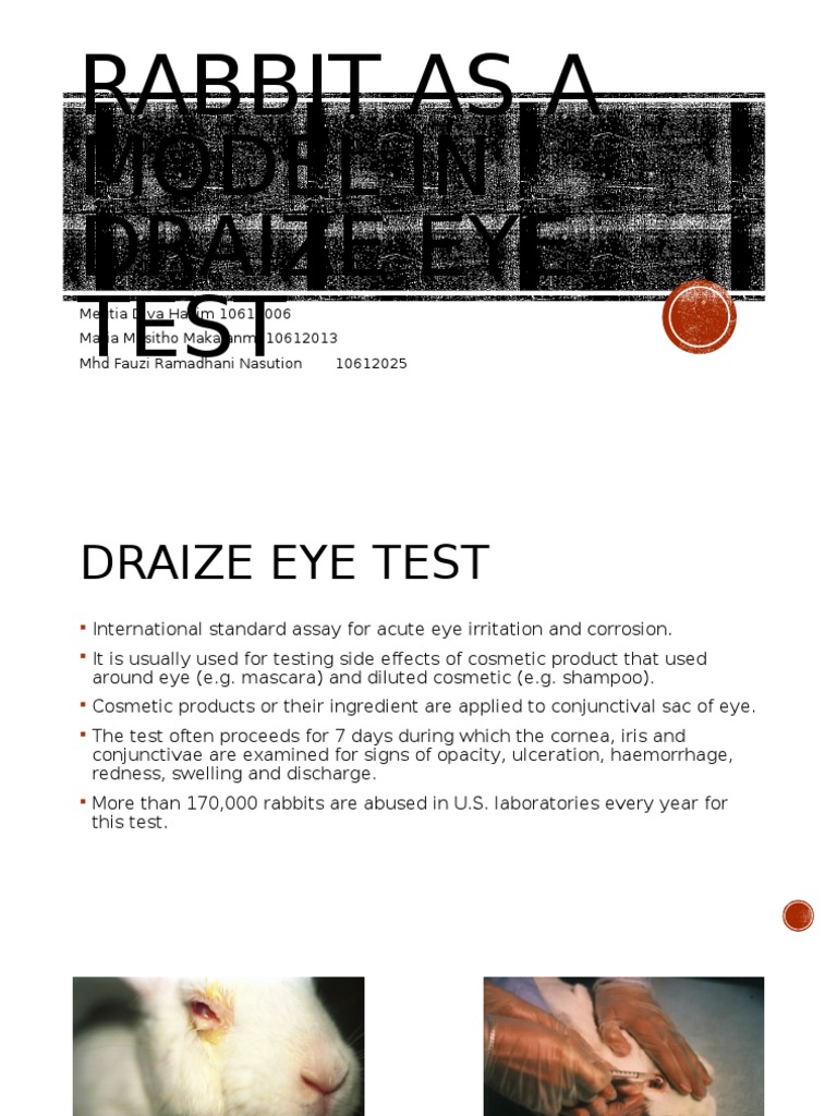 Rabbit As A Model in Draize Eye Test | PDF