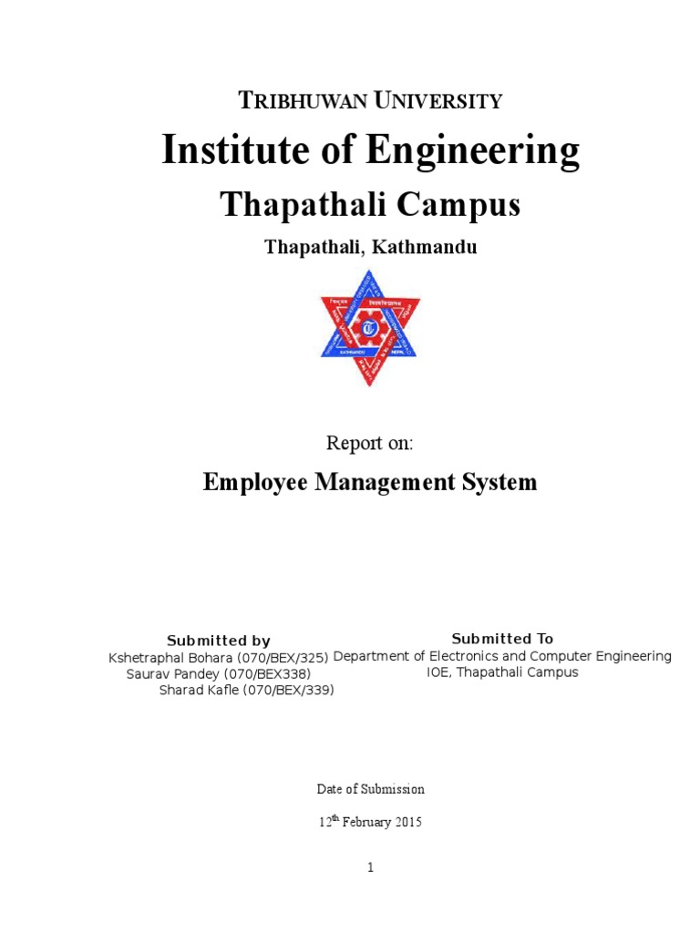 Employee Management System | PDF | Object Oriented Programming | C++