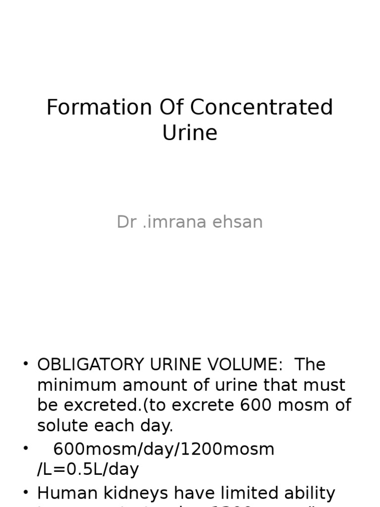 Mechanisms of Concentrated Urine Formation | PDF | Kidney | Animal Anatomy