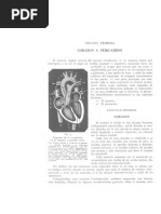 Triangulo de Farabeuf | PDF | Anatomía humana | Cabeza y cuello humanos