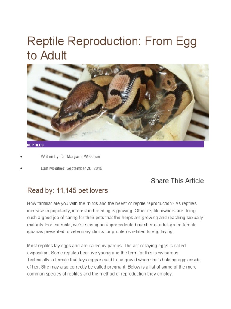 Reptile Reproduction | PDF | Egg | Reptile