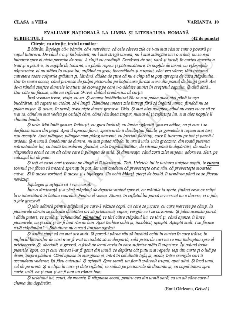 10 Caracterizare Personaj PDF | PDF
