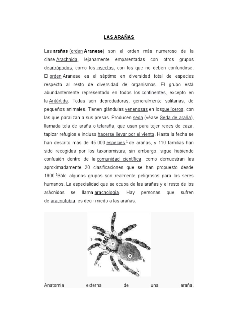 Las Arañas 2 | PDF | Araña | Arácnidos
