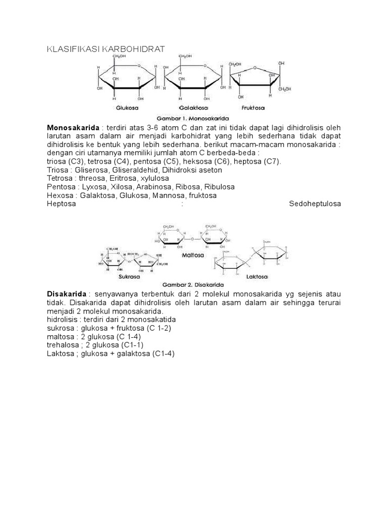 Klasifikasi Karbohidrat | PDF