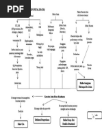 Woc Antepartum Bleeding | PDF